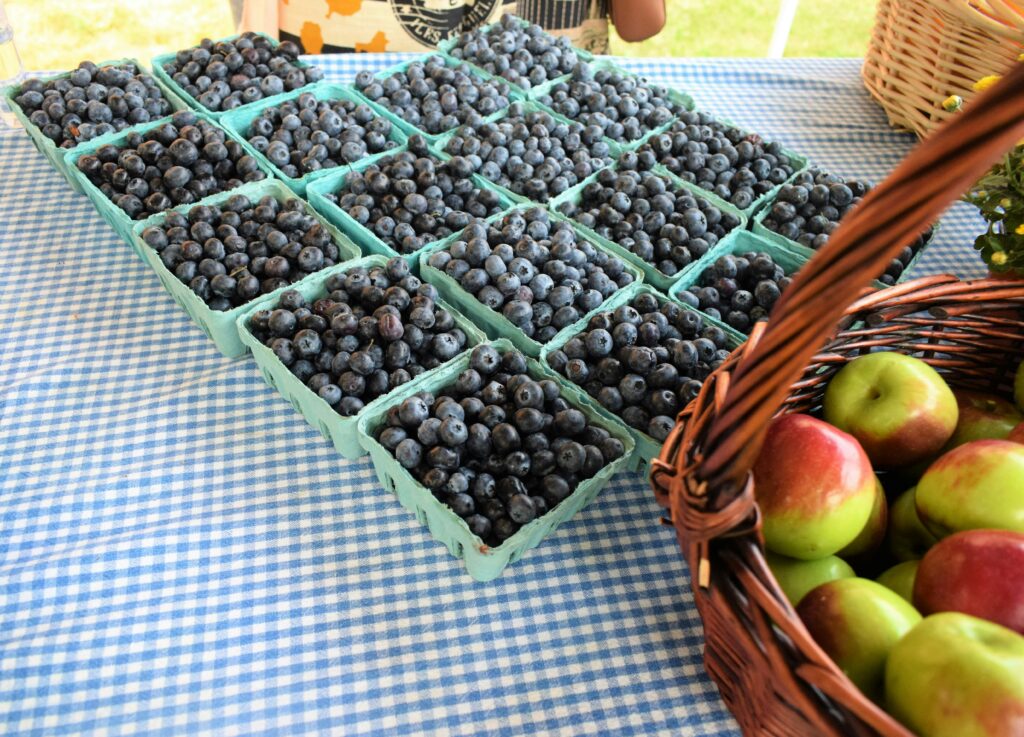 Healthy Habits, Better Grades: How Nutrition Affects Learning Outcomes ...